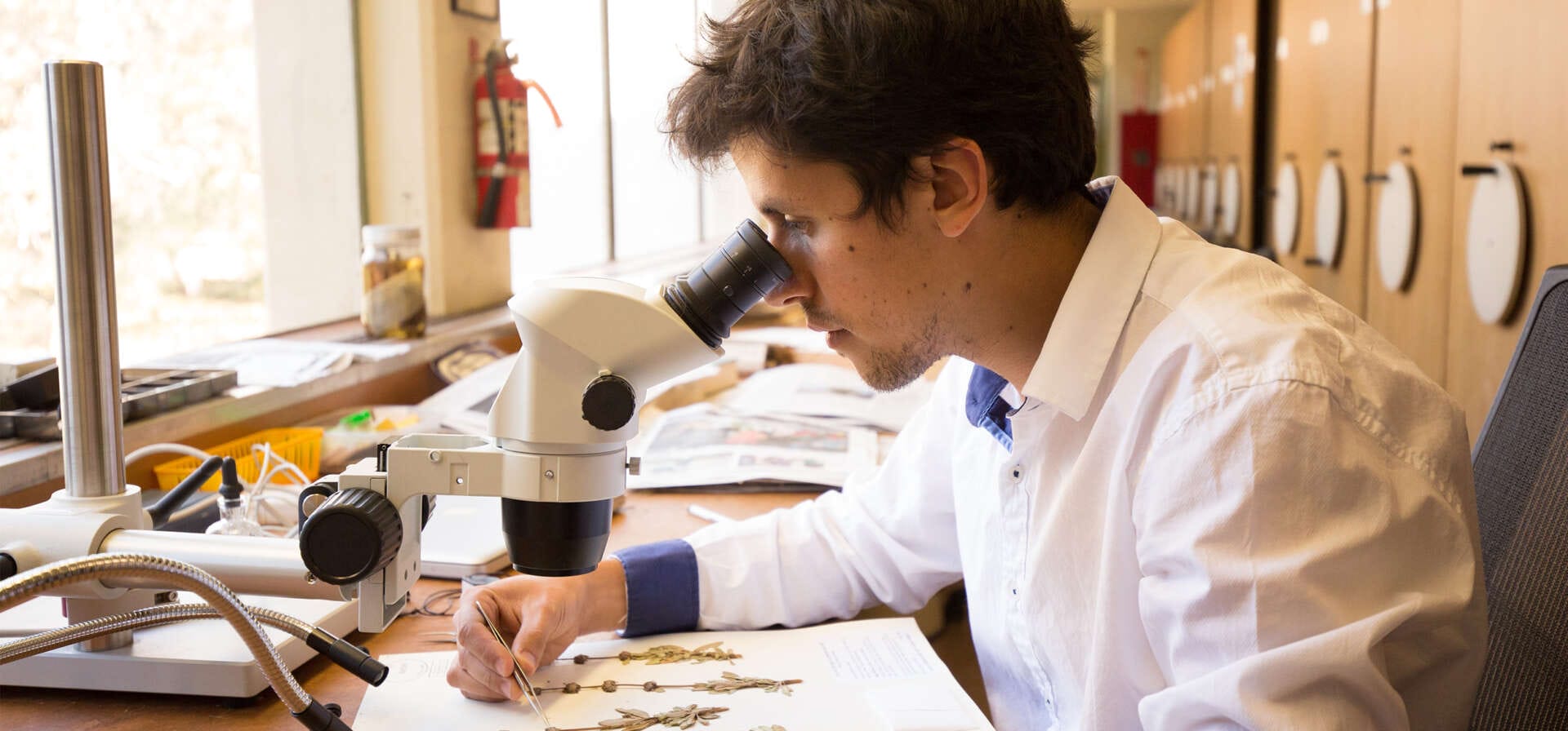 MS in Botany - Claremont Graduate University