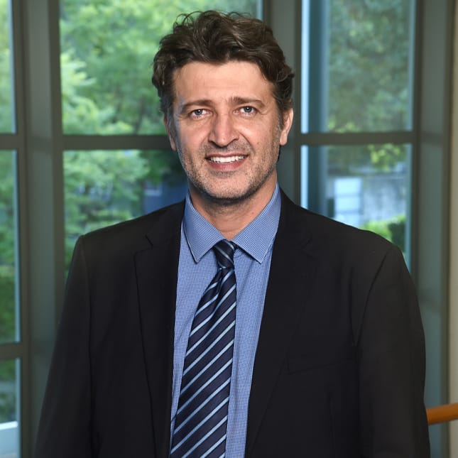 Advancing Society: Inaugural PhD in Executive Management Cohort ...